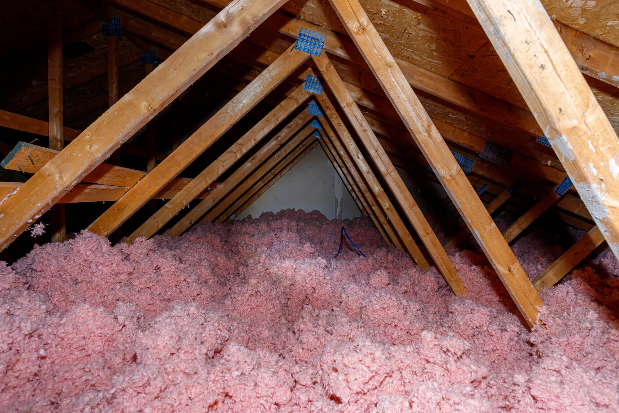 Attic Mold Removal Geneva IL | Alliance Restoration